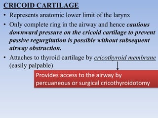 Respiratory anatomy with anaesthetic implications and applied radiology ...