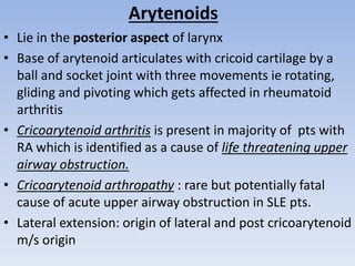 Respiratory anatomy with anaesthetic implications and applied radiology ...