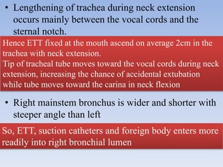 Respiratory anatomy with anaesthetic implications and applied radiology ...