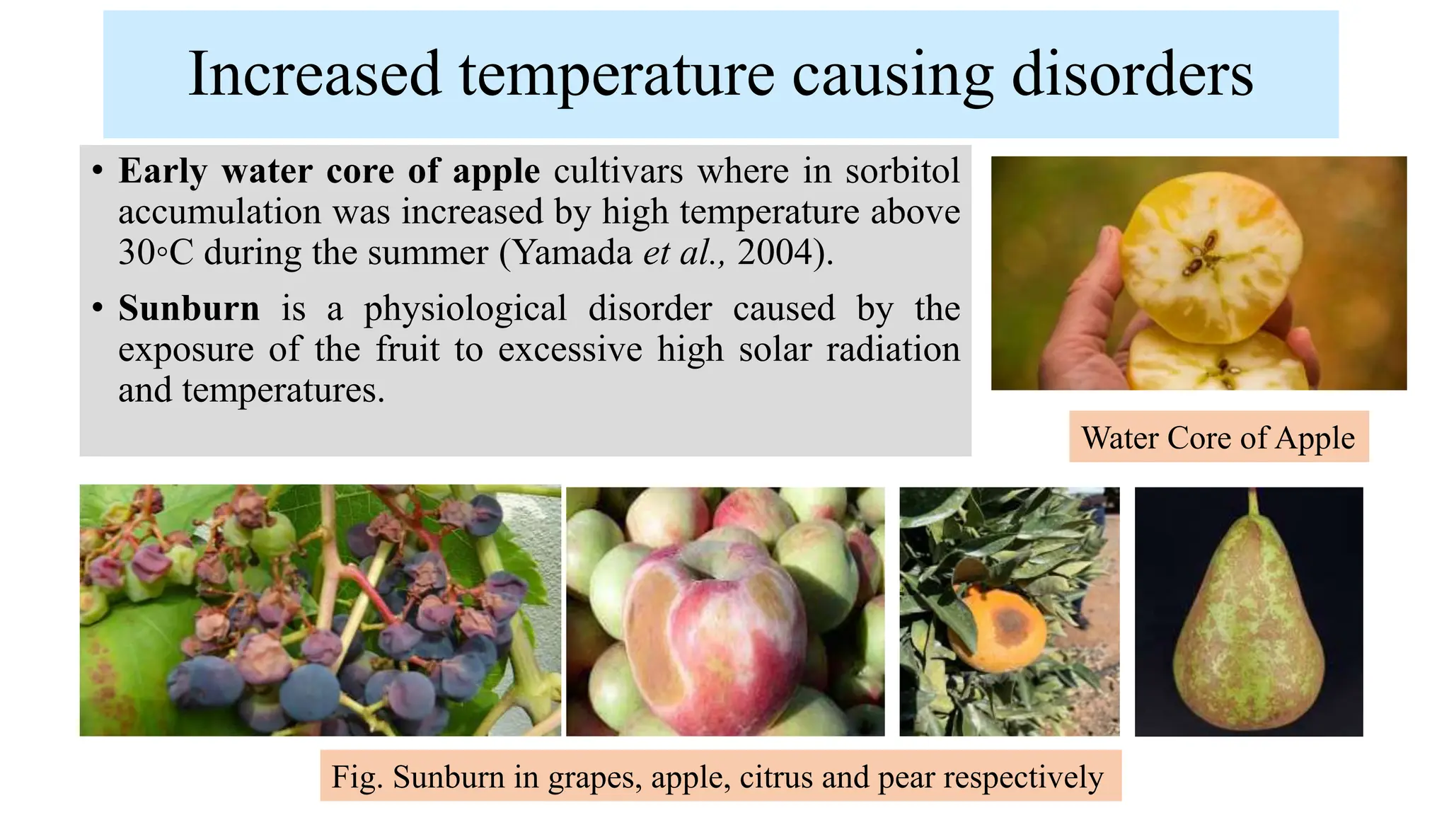Impact of climate change on fruit quality.pptx
