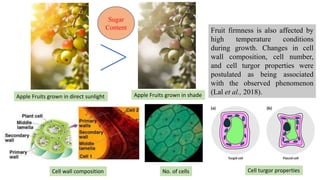 Impact of climate change on fruit quality.pptx