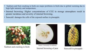 Impact of climate change on fruit quality.pptx
