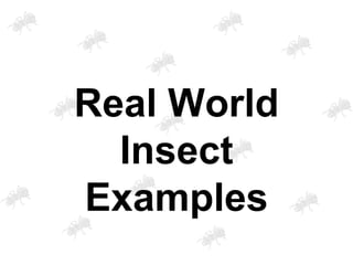 Jyotishkar dey roll 36.(swarm intelligence) | PPTX