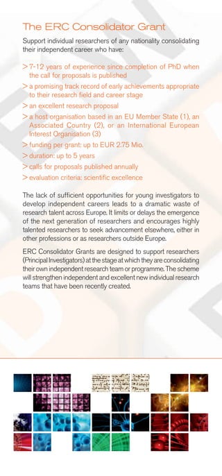 ERC grant schemes | PDF