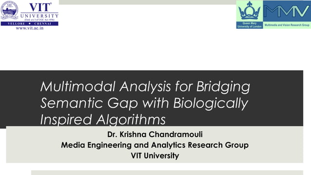 Multimodal Analysis for Bridging Semantic Gap with Biologically Inspired Algorithm | PPT