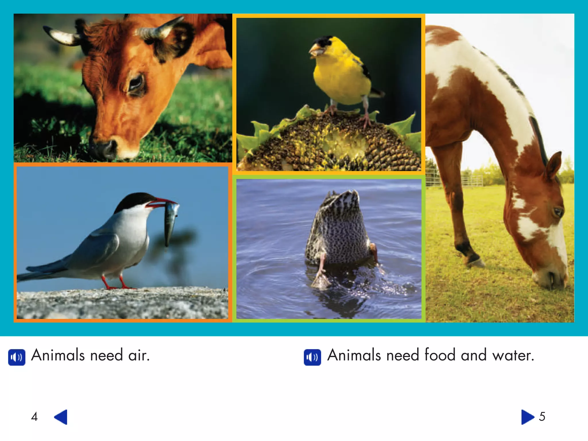 K.3 learning about plants and animals (life sciences) | PDF