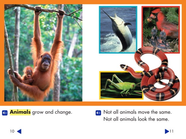 K.3 learning about plants and animals (life sciences) | PDF