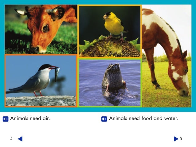 Life Science Pictures Animals