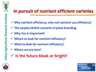 The need for nutrient efficient rice varieties Status and prospects | PPTX