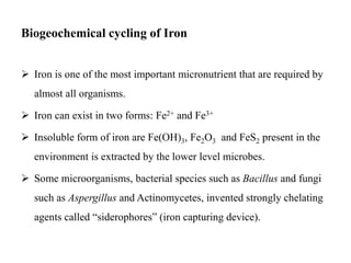 BIOGEOCHEMICAL CYCLE OF SECONDARY AND MICRONUTRIENTS | PPTX | Chemistry ...