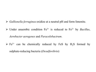 BIOGEOCHEMICAL CYCLE OF SECONDARY AND MICRONUTRIENTS | PPTX | Chemistry ...
