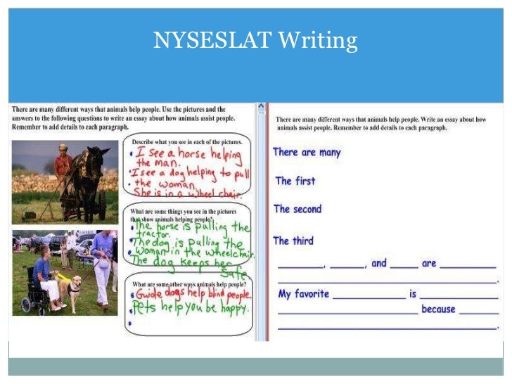 Language Learning Strategies for Before, During, and After the NYSESL…
