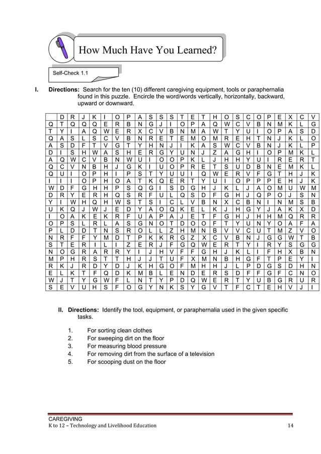 CARE GIVING Grade 8 Learning Module | PDF