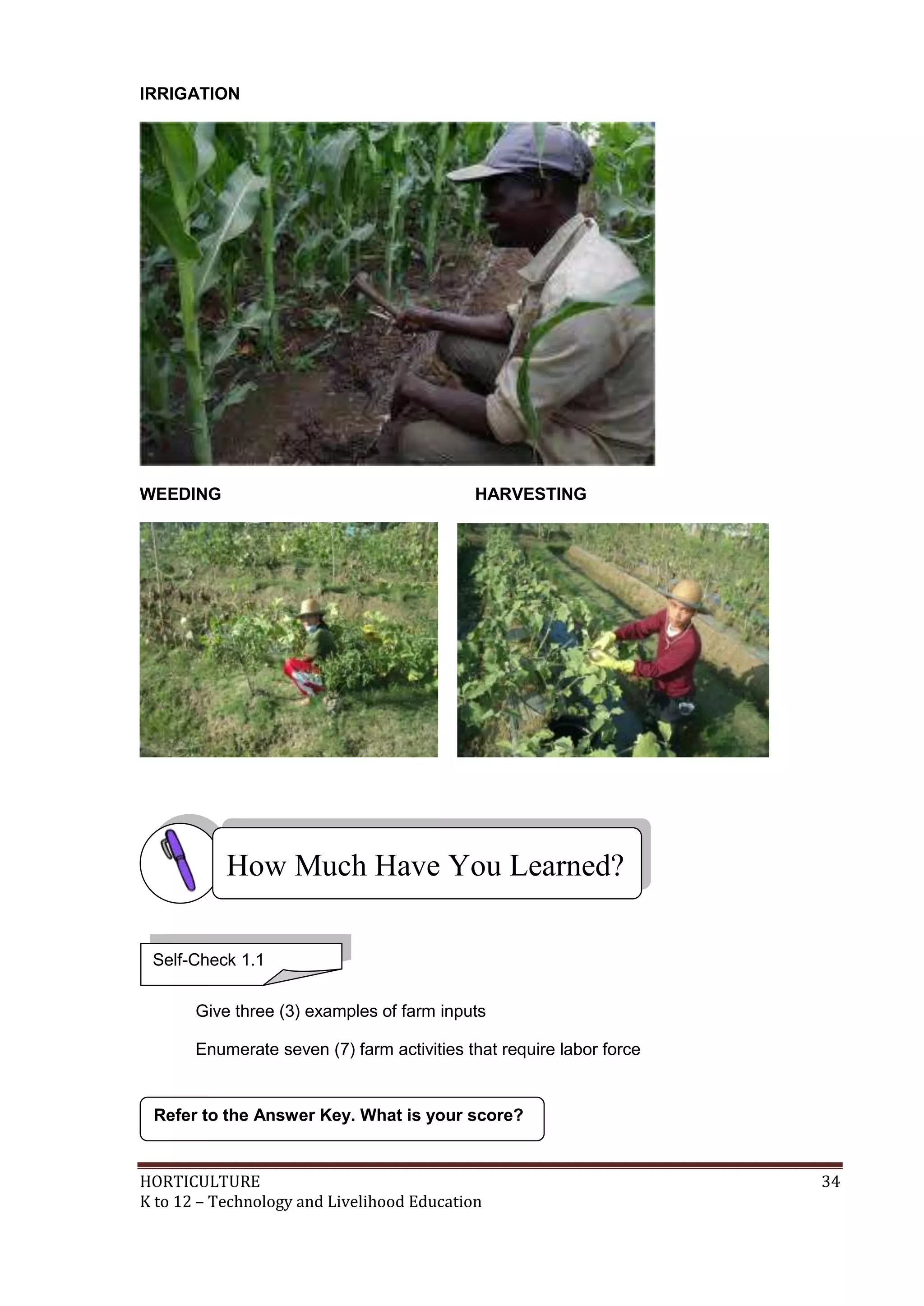 K to 12 horticulture learning module | PDF