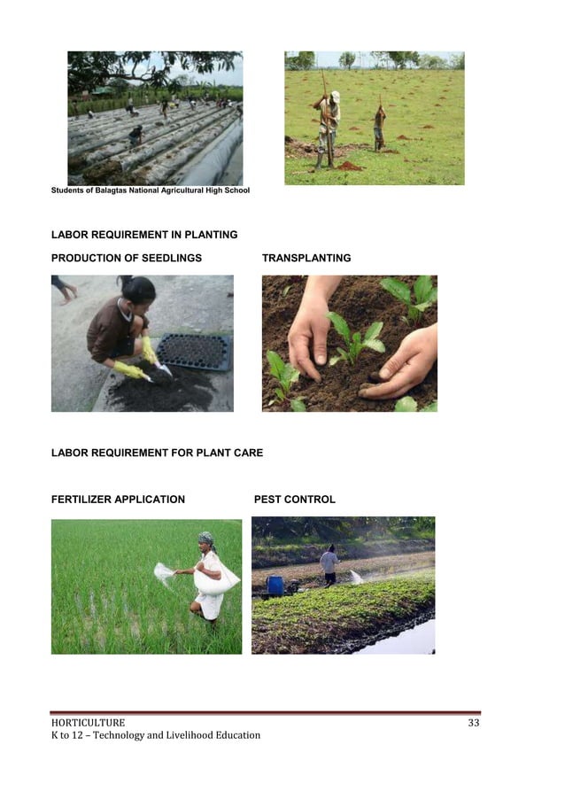 K to 12 horticulture learning module | PDF