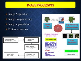 AUTOMATED SYSTEM FOR PLANT DISEASE DIAGNOSIS BY USING IMAGE PROCESSING ...