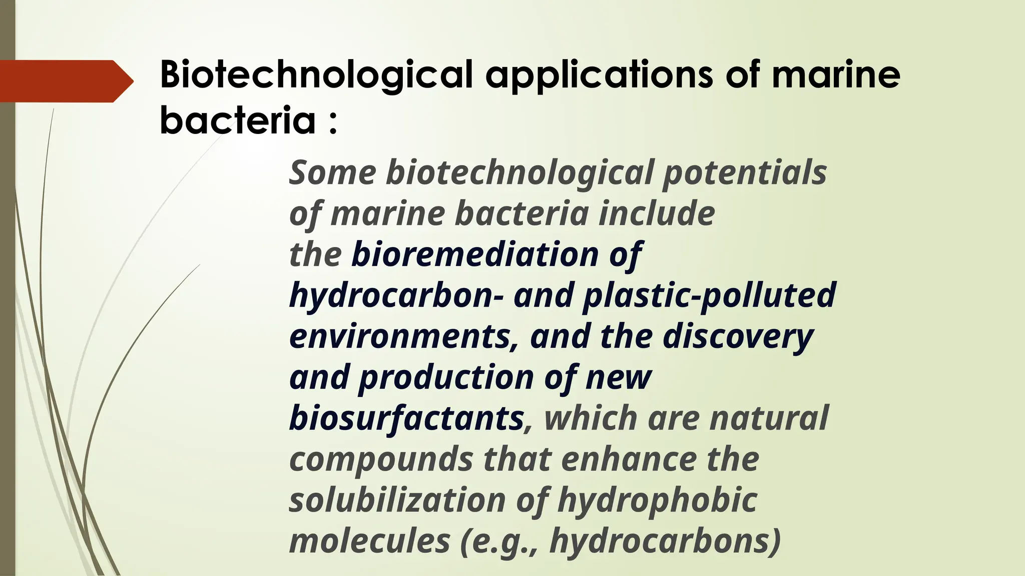 K.Shanmugapriya_marine microbiology.pptx