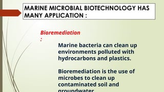 K.Shanmugapriya_marine microbiology.pptx