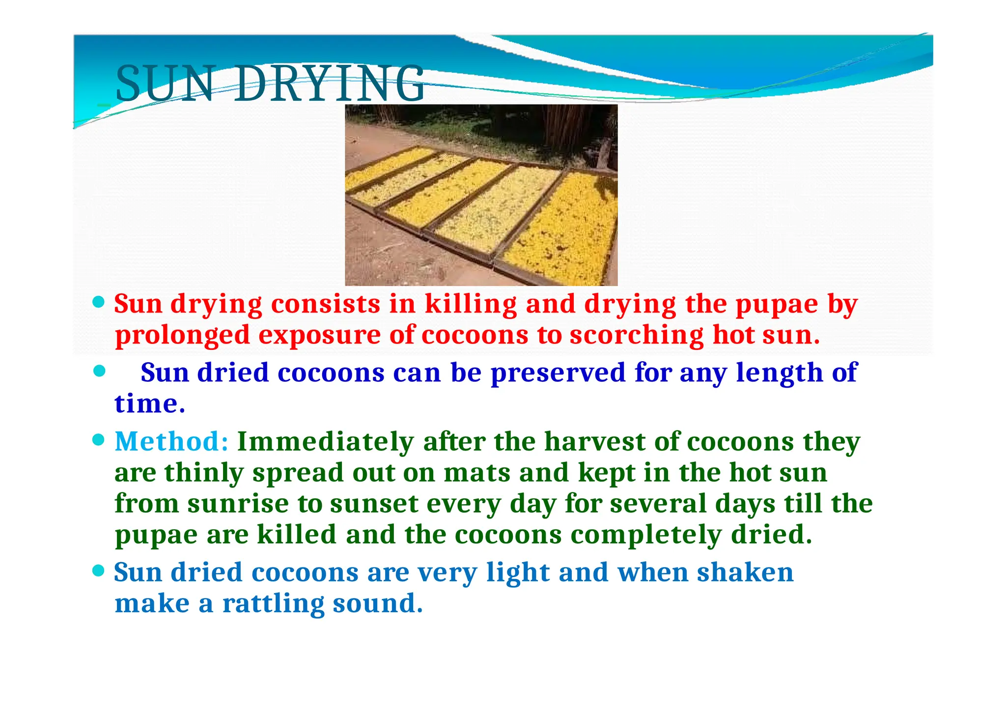 K.siva 2021009021 Sericulture cocoon stiffling.pptx