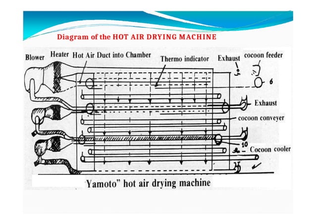 K.siva 2021009021 Sericulture cocoon stiffling.pptx