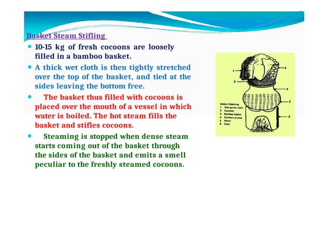 K.siva 2021009021 Sericulture cocoon stiffling.pptx