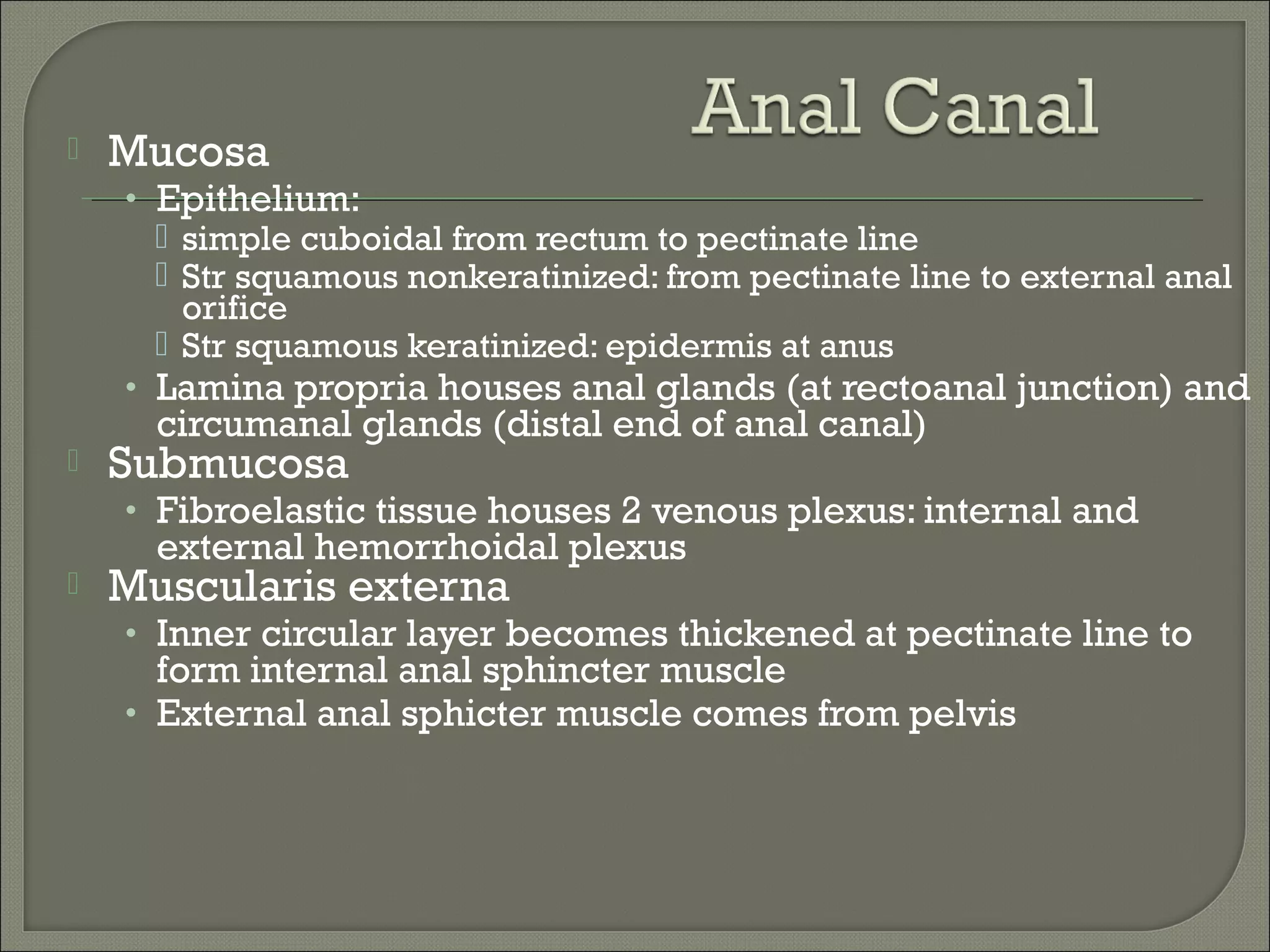 K 3 digestive system (histologi) | PPT