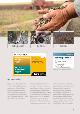 Kwizda napraforgó prospektus 2018 | PDF