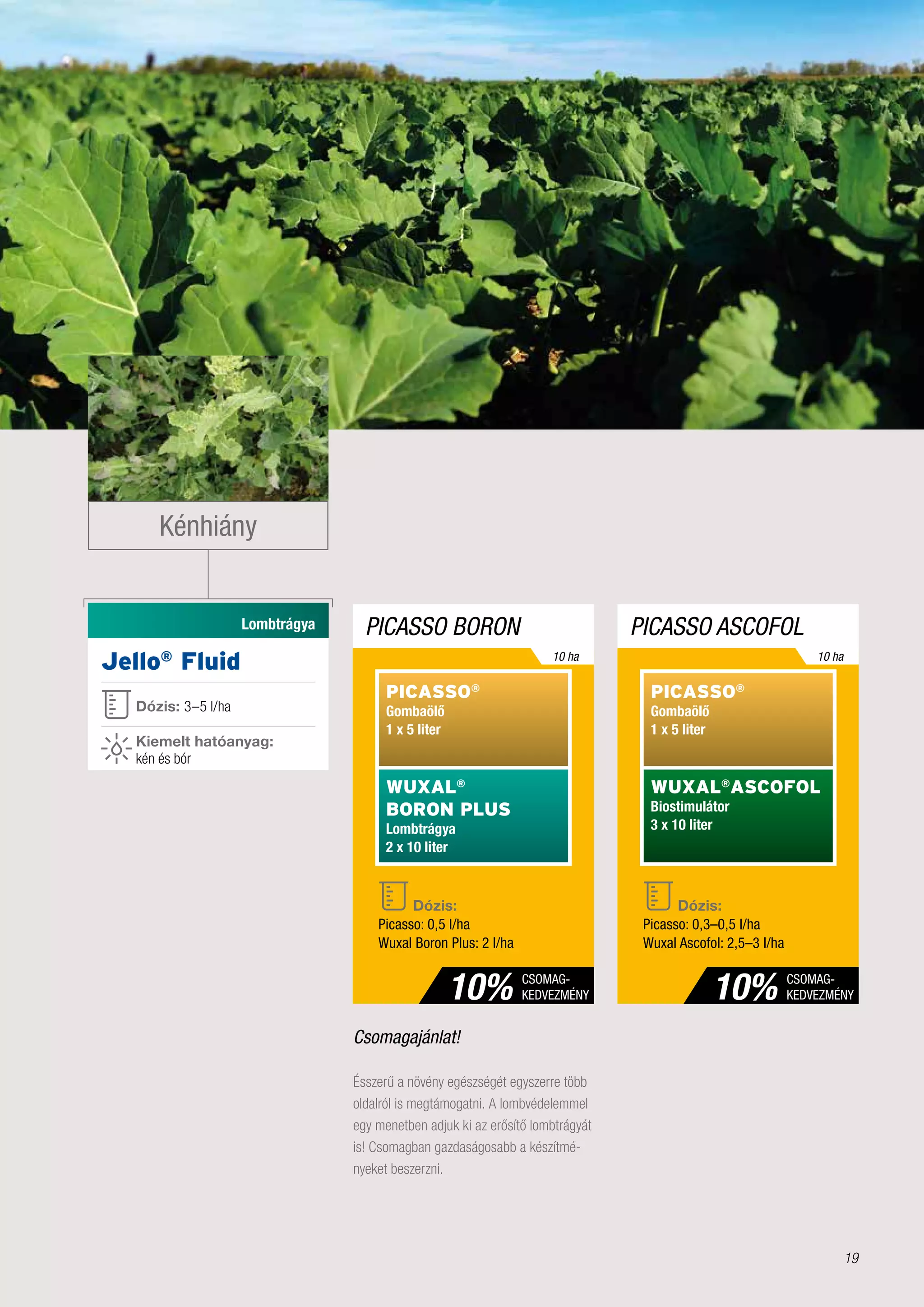 Kwizda repce prospektus 2018 | PDF