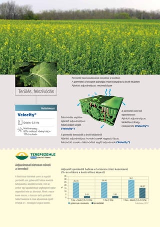 Kwizda repce prospektus 2018 | PDF