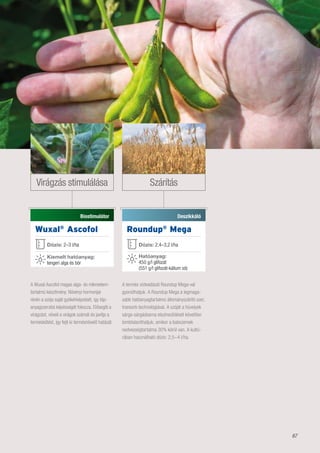 Kwizda szója prospektus 2018 | PDF