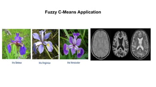 Fuzzy Clustering(C-means, K-means) | PPTX