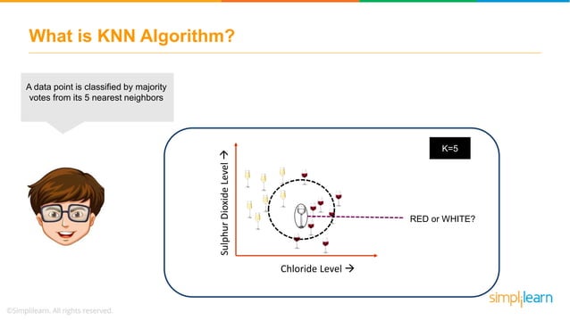 KNN Algorithm - How KNN Algorithm Works With Example | Data Science For ...