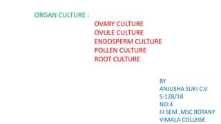 TYPES OF ORGAN CULTURE IN TISSUE CULTURE | PPTX