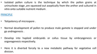 TYPES OF ORGAN CULTURE IN TISSUE CULTURE | PPTX