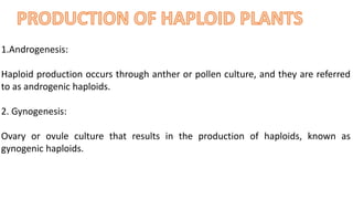 TYPES OF ORGAN CULTURE IN TISSUE CULTURE | PPTX