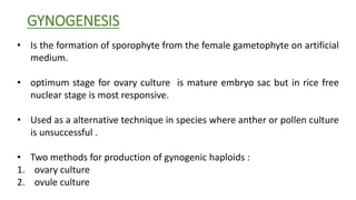 TYPES OF ORGAN CULTURE IN TISSUE CULTURE | PPTX