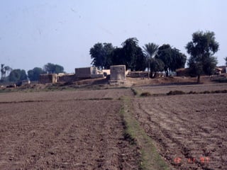 Krishna Vatsa - Resilience-based approach to Flood Risk Management in ...