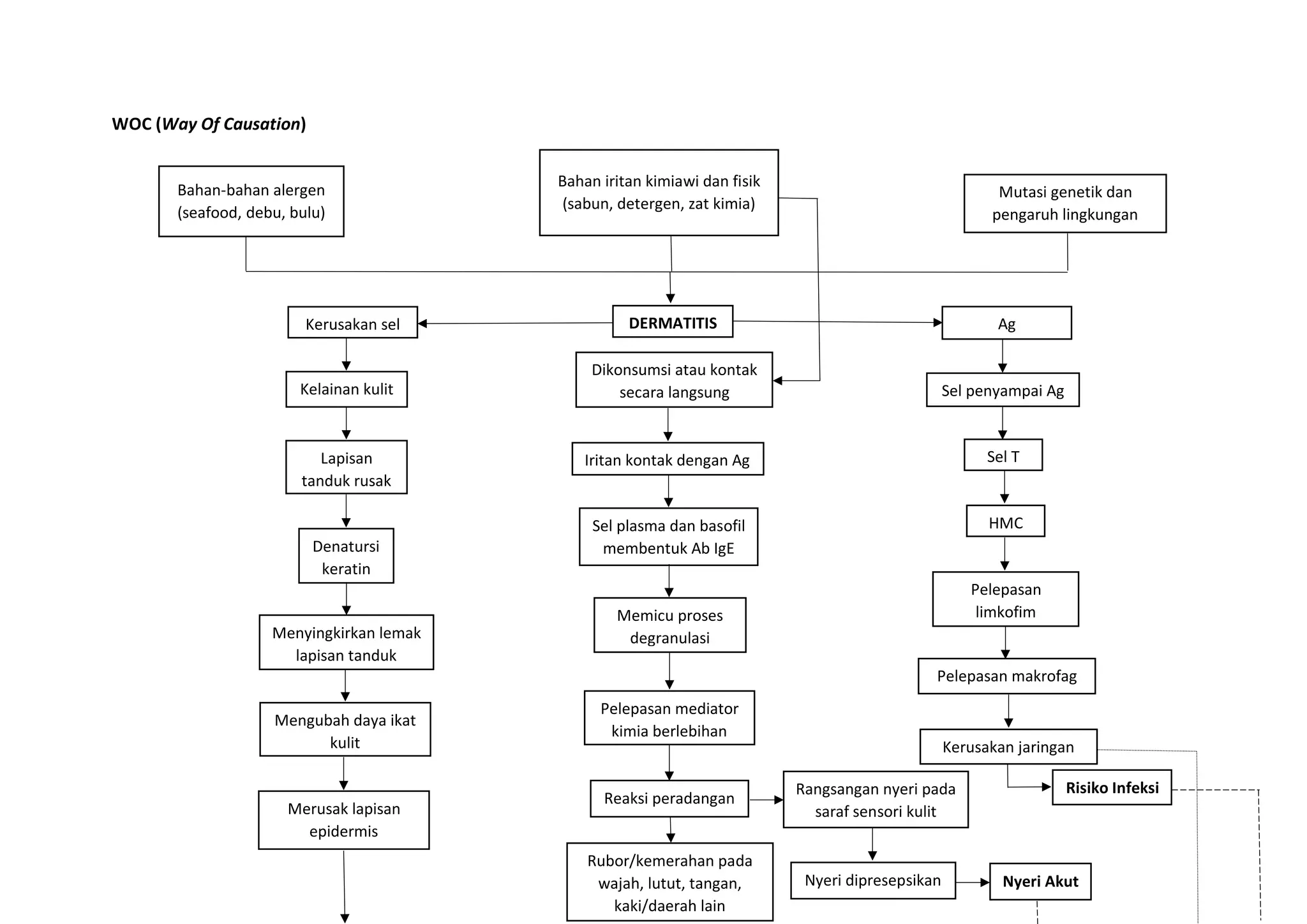 WOC Dermatitis.pdf