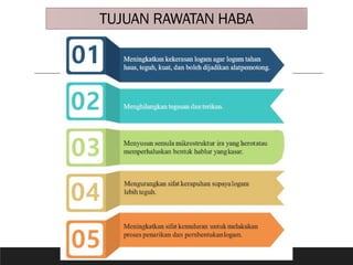 K 01 PROSES RAWATAN HABA.pdf