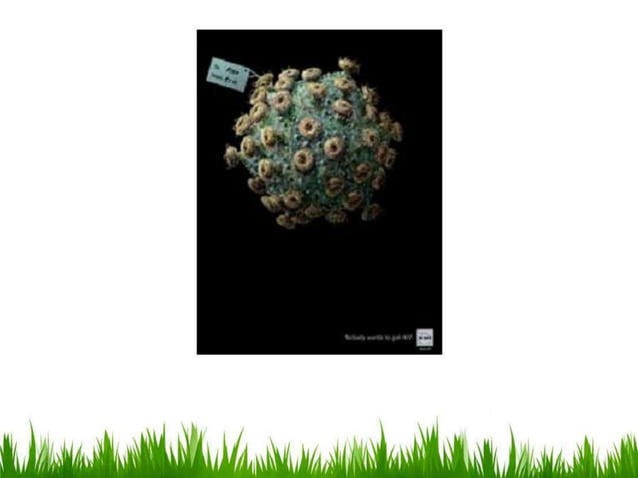 Visual Semiotics | PPTX | Science