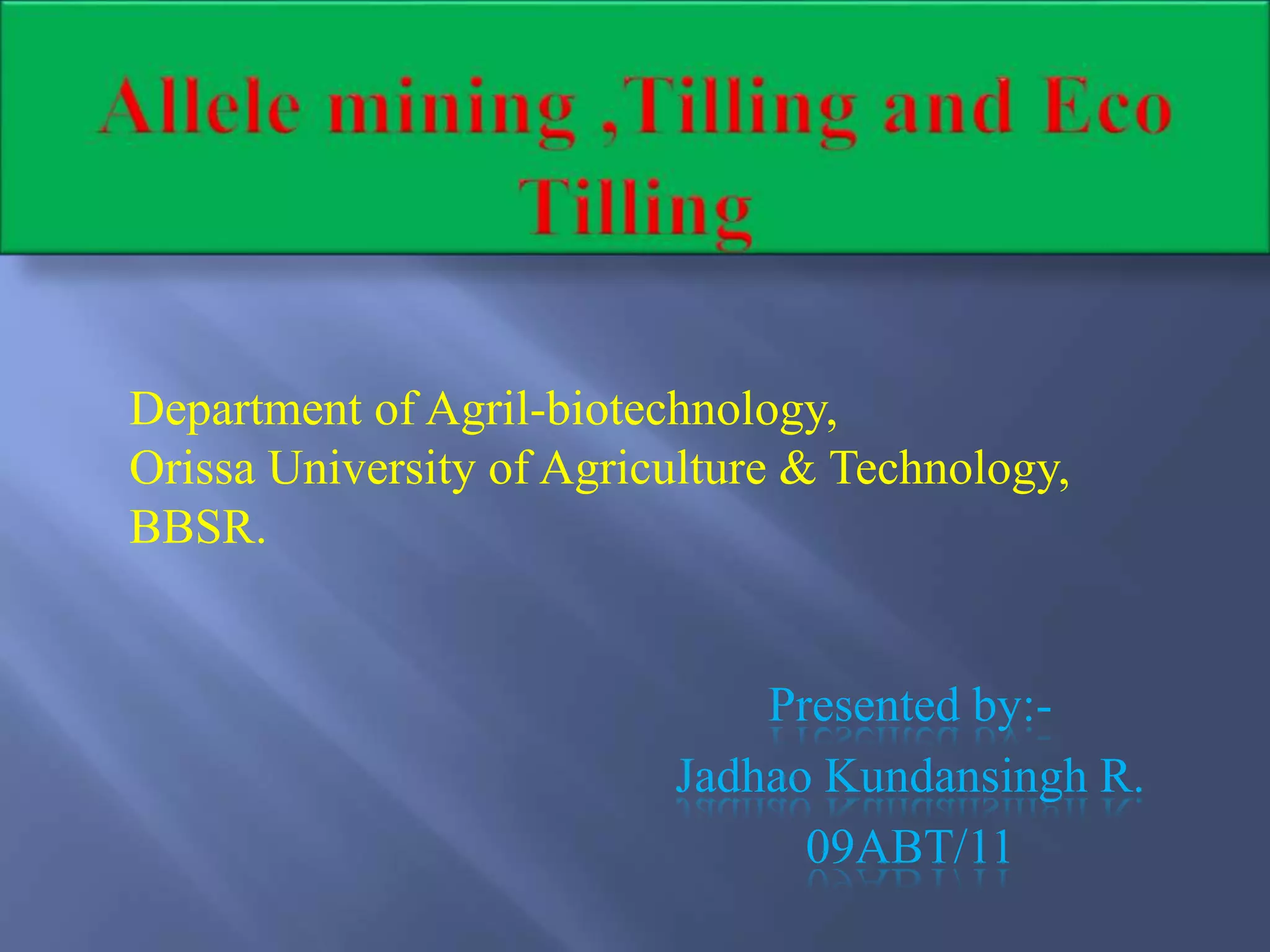 Allele mining, tilling and eco tilling | PPTX
