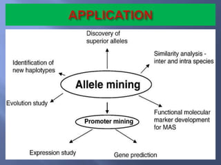 Allele mining, tilling and eco tilling | PPTX