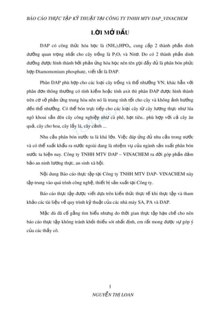 Báo cáo thực tập kỹ thuật. | PDF