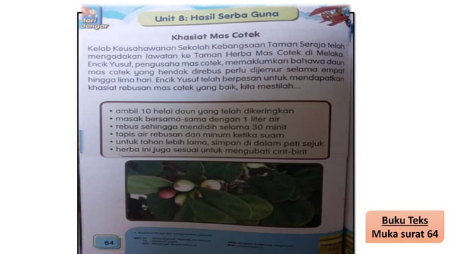 BAHASA MELAYU PENDIDIKAN KHAS.pptx