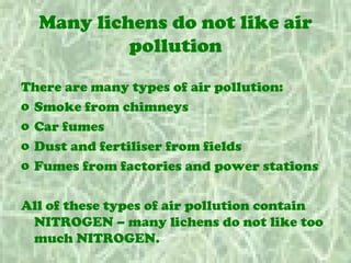Lichens and Pollution - an Introduction | PPT