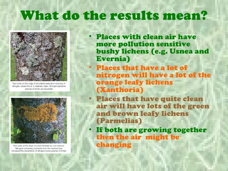 Lichens and Pollution - an Introduction