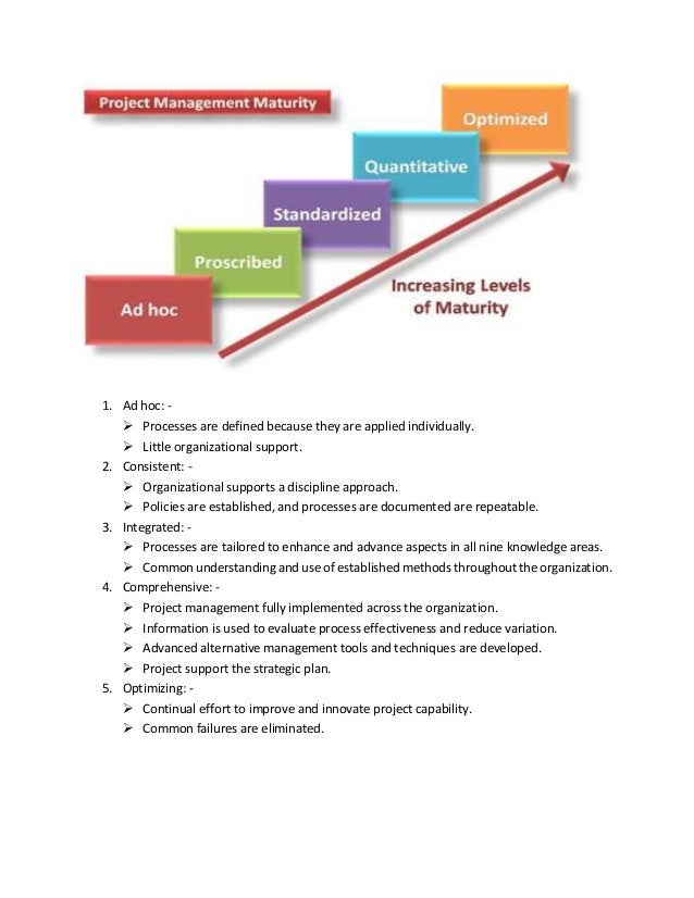 project management maturity models | PDF