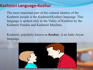 Kashmiri Culture | PPTX