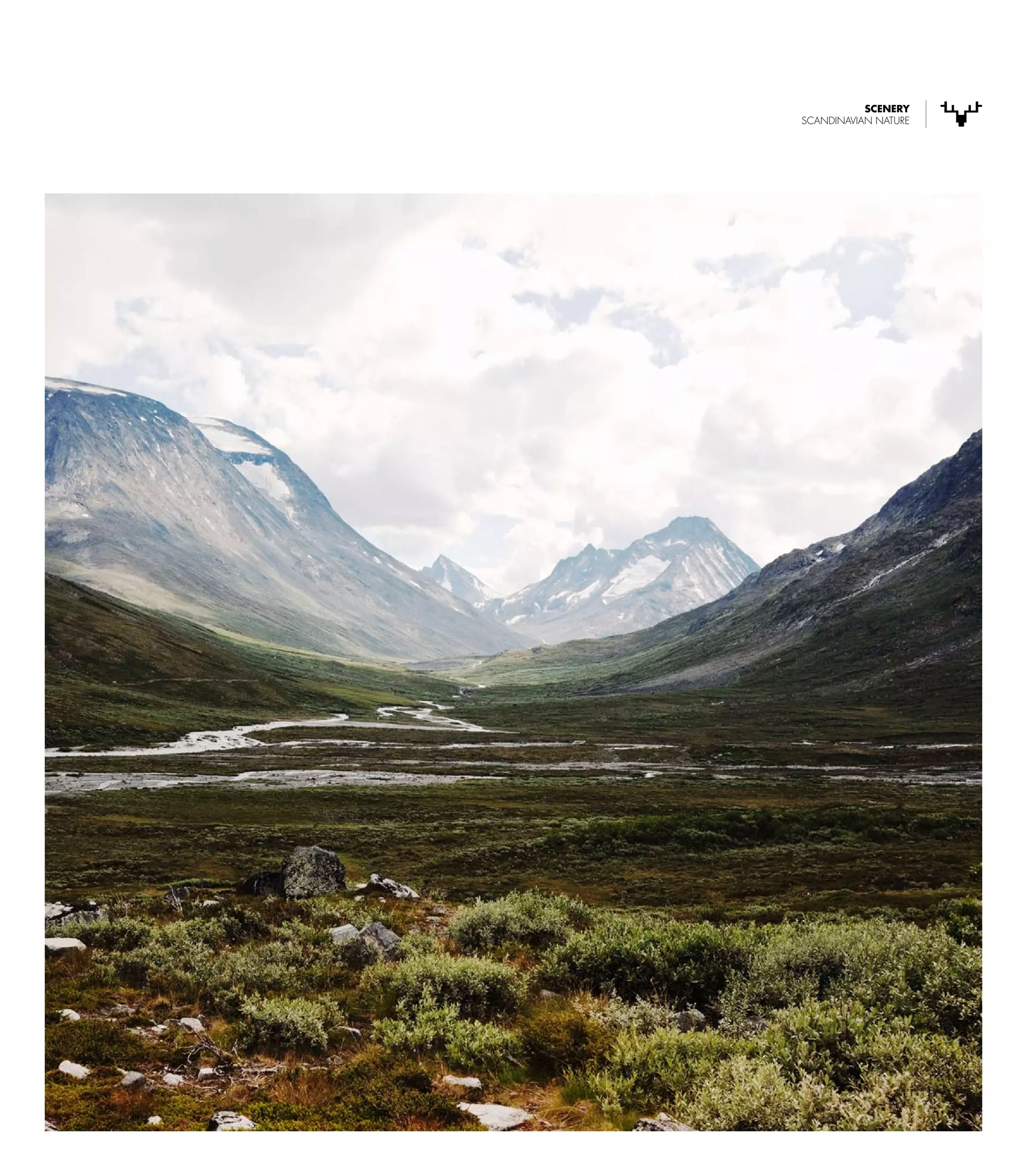 Scandinavian Coffee House | PDF