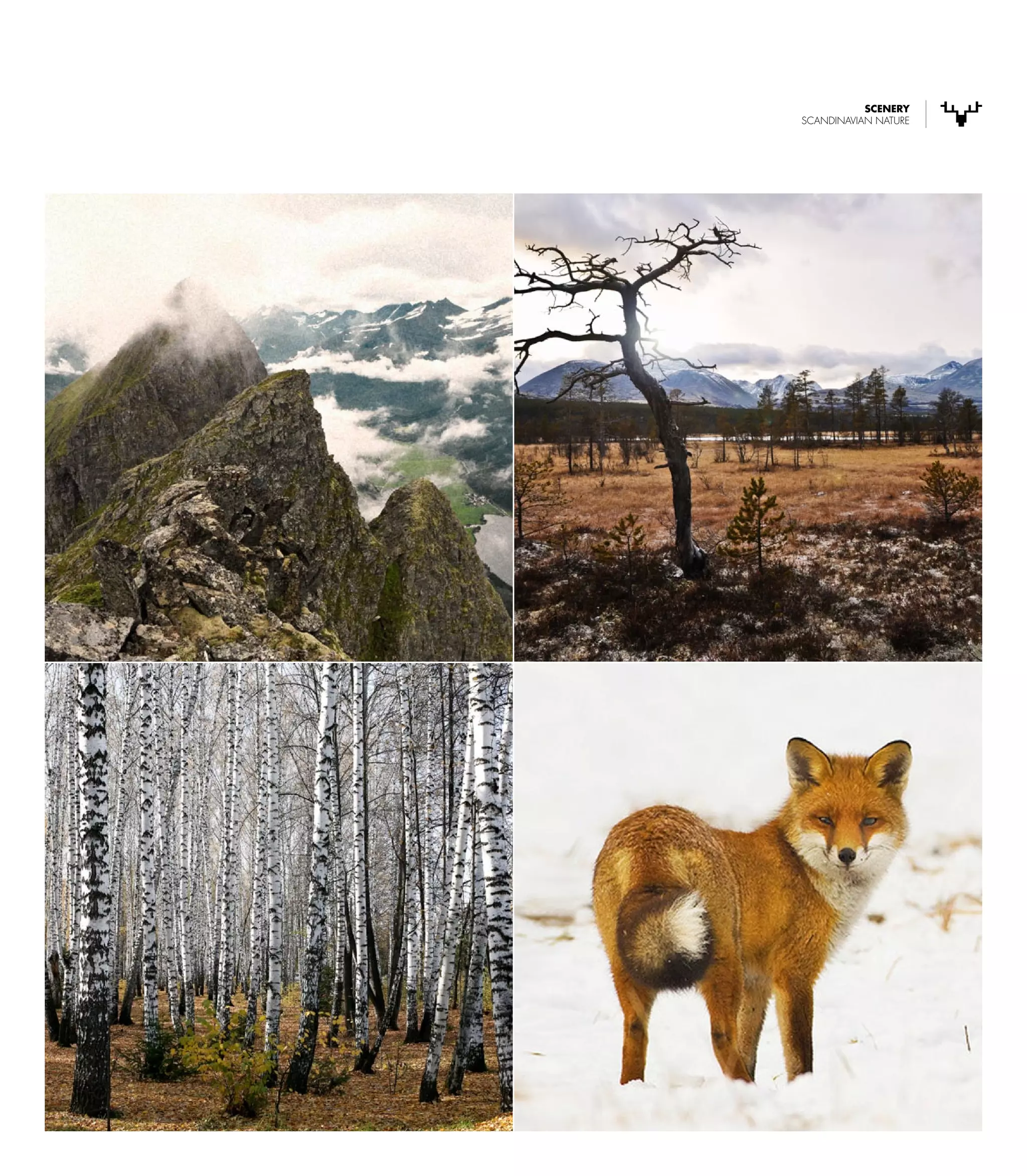 Scandinavian Coffee House | PDF